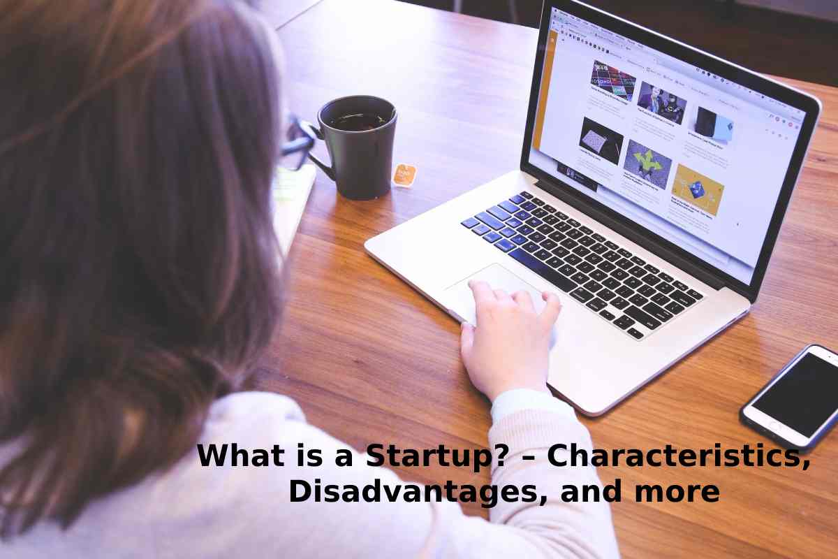 What is a Startup? – Characteristics, Disadvantages, and more