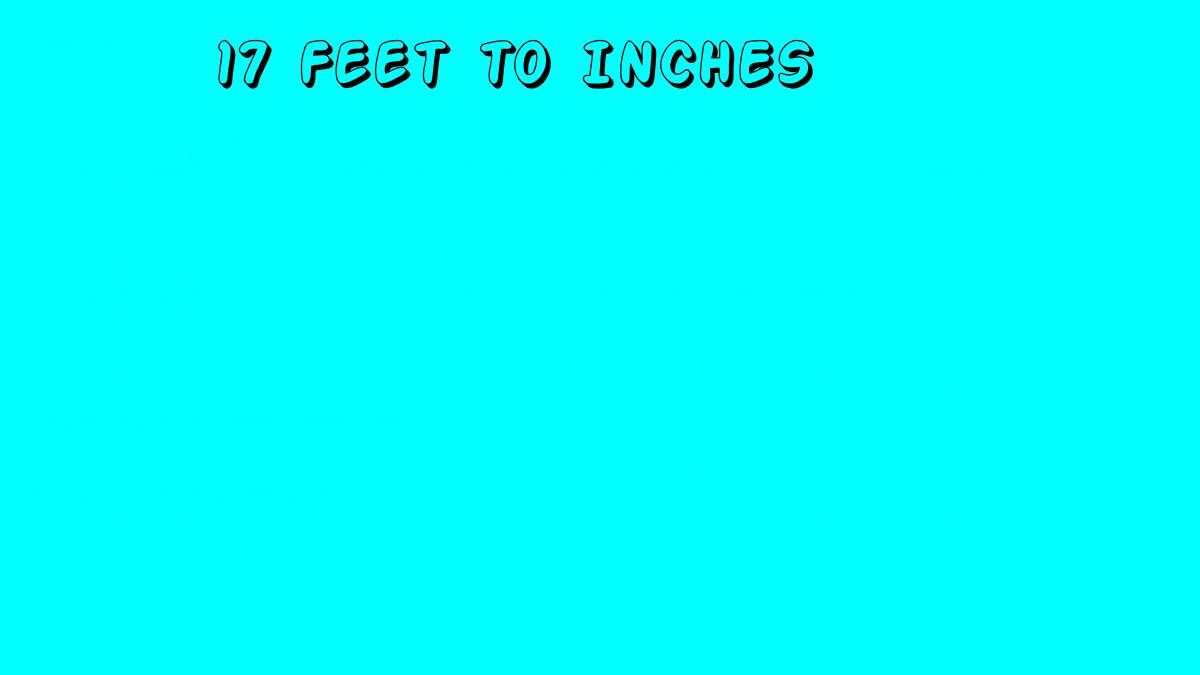 17 Feet To Inches